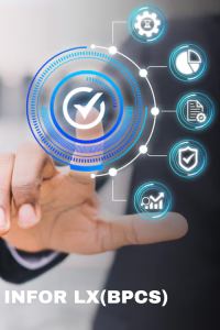 Infor LX (BPCS) Application Management and Support